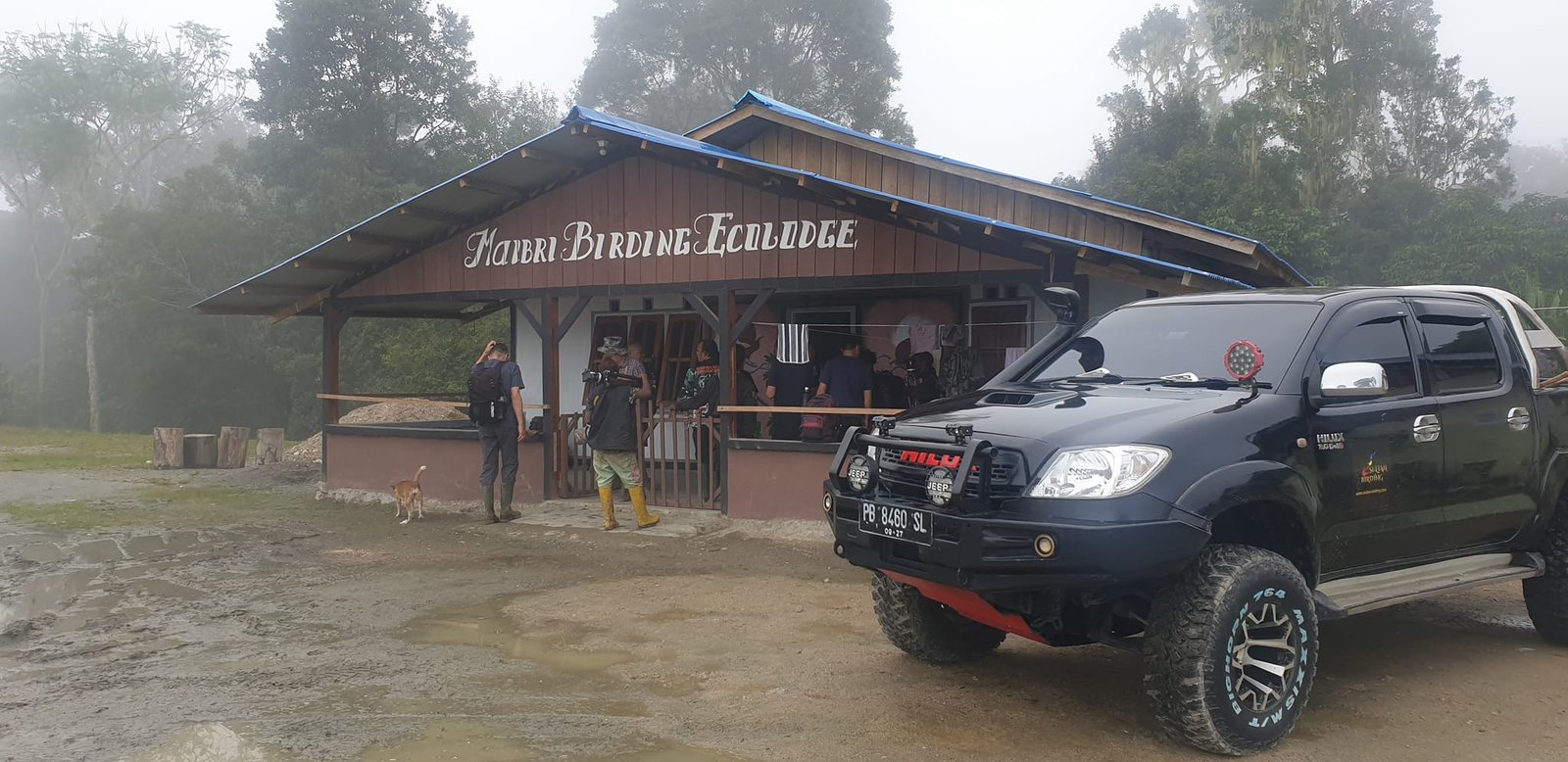 Maibri Eco Lodge - Sultan Birding Indonesia